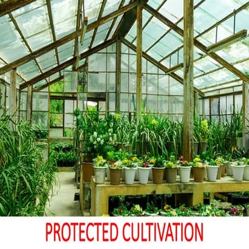 protected cultivation.pptx greenhouse part 6th sem | PPTX