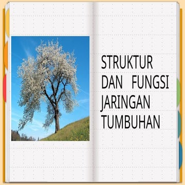 Struktur dan Fungsi Jaringan Tumbuhan (Vaskular) | PPTX