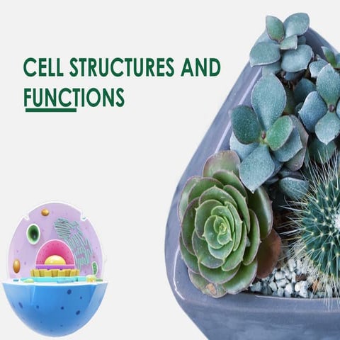 2. Cell Structures and Functions and gen bio.pptx