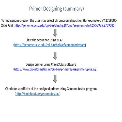 2. primer design(2).pptx2. primer design(2).pptx