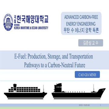 presentation about E-fuel apply in marinetime | PPTX