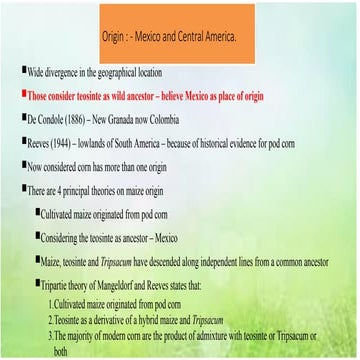 Structure and composition of corn maize | PPTX