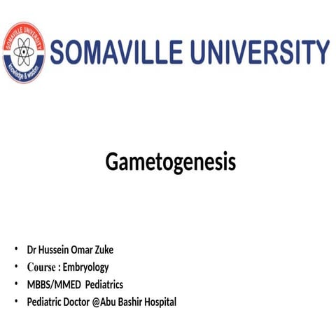 2.Gametogenesis.pptx HOW MALE AND FEMALE GAMETES MADE | PPTX