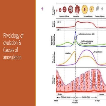 study of physiology of ovulation - copy.pptx