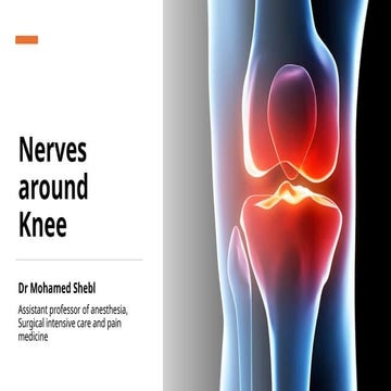 Nerves around Knee for pain physicians.pptx