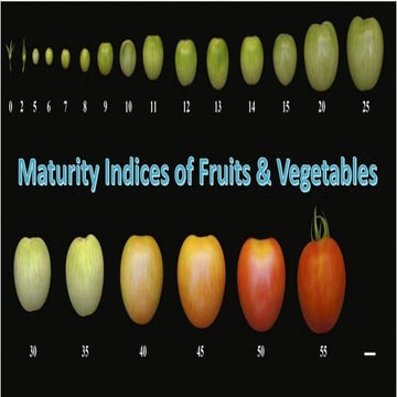3. Maturity_indices_of_fruits_and_vegetable.pptx