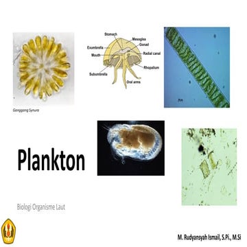 Comprehensive Study of Marine Plankton: Types, Life Cycles, and ...