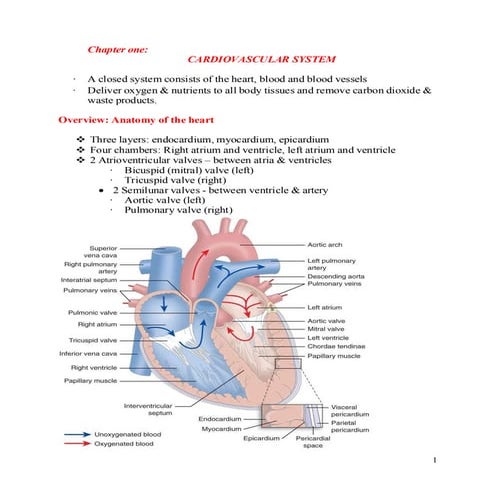 Comprehensive Overview of Nephrolithiasis: Types, Causes, Diagnosis ...