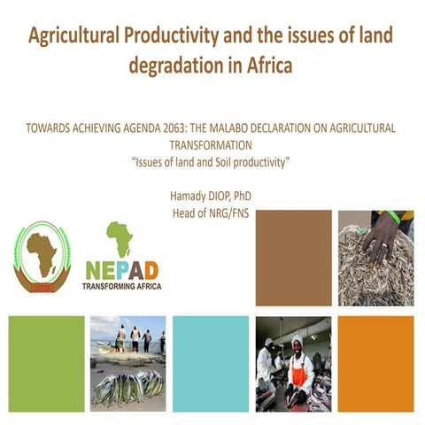 Agricultural Productivity and the issues of land degradation in Africa ...