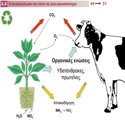 2.3 η ανακύκλωση της ύλης σε ένα οικοσύστημα | PPT