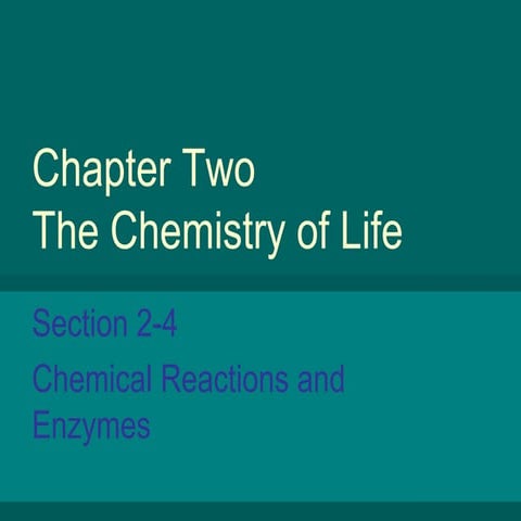 Biology 2.4 | PPTX