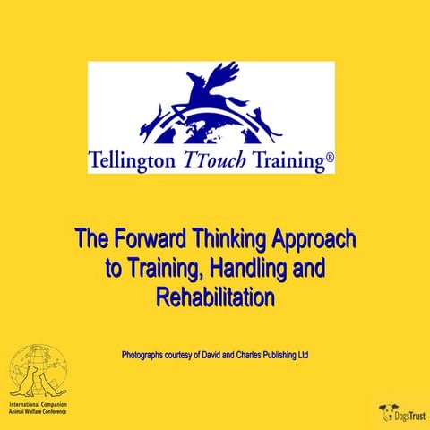 Tellington Touch - Sarah Fisher | PPT