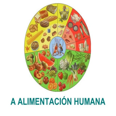 Alimentación y Nutrición | PPTX