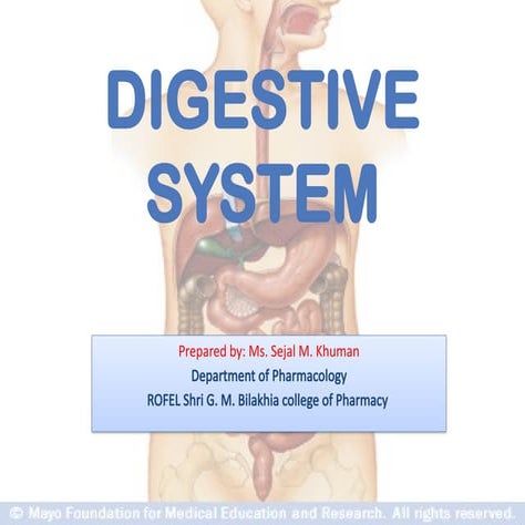Anatomy and Physiology: Gastrointestinal Tract | PPT