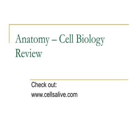 Cell Biology | PDF