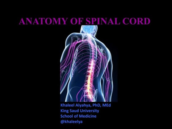 The Complete Anatomy of the Spinal Cord.pptx