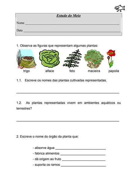 Ficha Informativa 4 Ficha Informativa 4