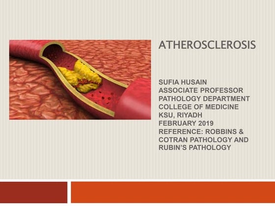 Atherosclerosis pathophysiology | PPT
