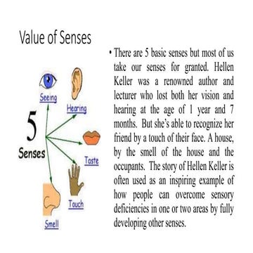 2 basic and other senses | PPT