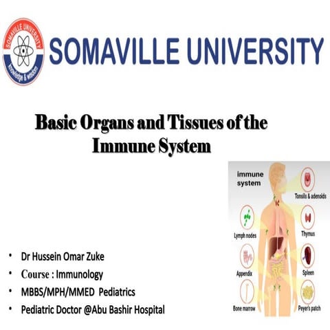 2-Basic Organs and Tissues of the Immune System.ppt
