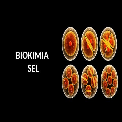 2 - Biokimia sel & jaringan_ed 2024.pptx
