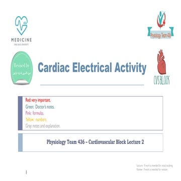 Cardiac Electrical Activity from CV block lecture | PDF