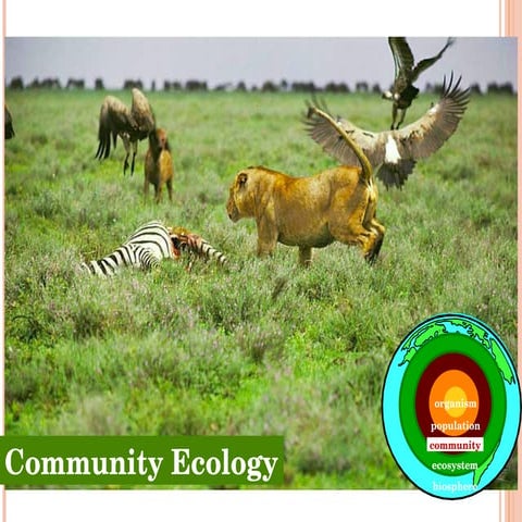 Community Ecology | PPT