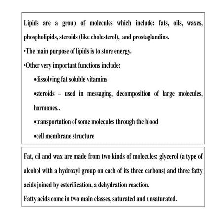 LIPIDS | PDF