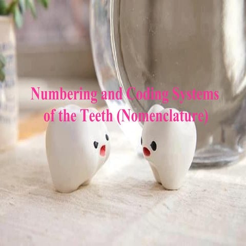 Tooth numbering system | PPTX