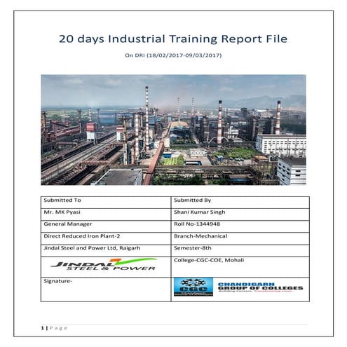Industrial Training Report on Direct Reduced Iron Plant(DRI) | PDF