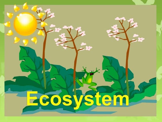 Cycling of materials in ecosystem | PPTX
