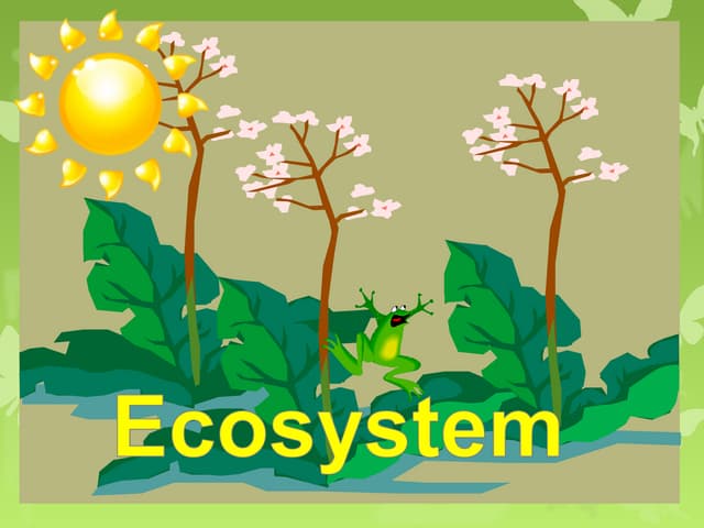 Ecosystems powerpoint | PPTX