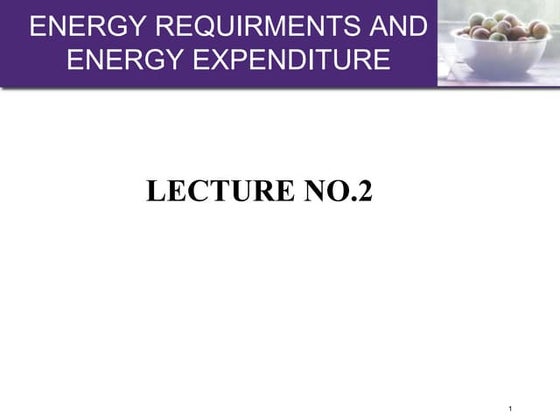 Energy Expenditure.ppt