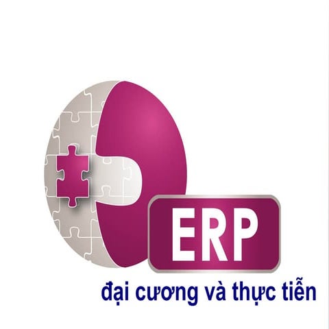 ERP 2. ERP đại cương và thực tiễn | PDF