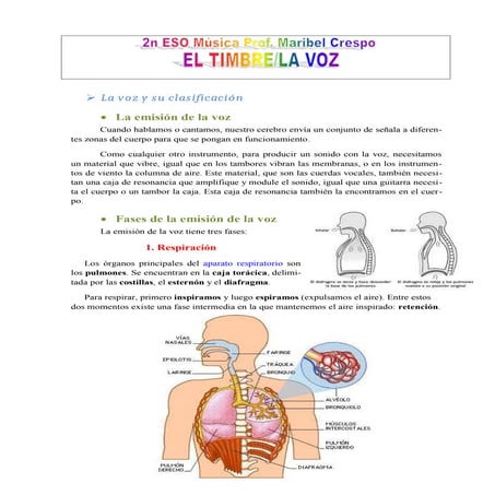 El timbre de la voz, lo que debes saber. | PDF