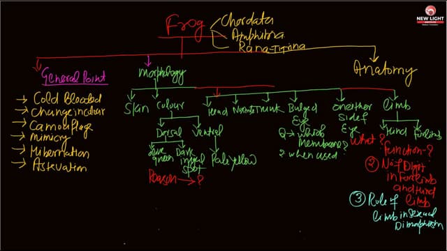 Frog Class 11th NCERT CBSE NEET biology notes | PDF