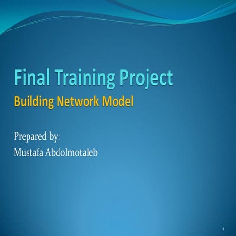 how to build network model using pipsim | PDF