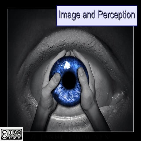 Image and Perception | PPT