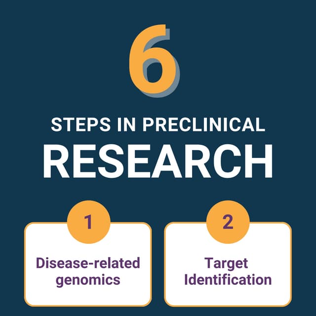 6 Steps in Preclinical Research | PDF