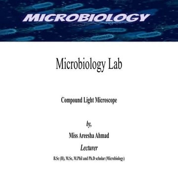 GBSN - Microbiology (Compound Light Microscope:) | PDF