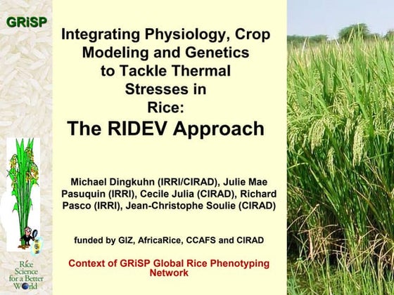 Ideotype breeding | PPTX