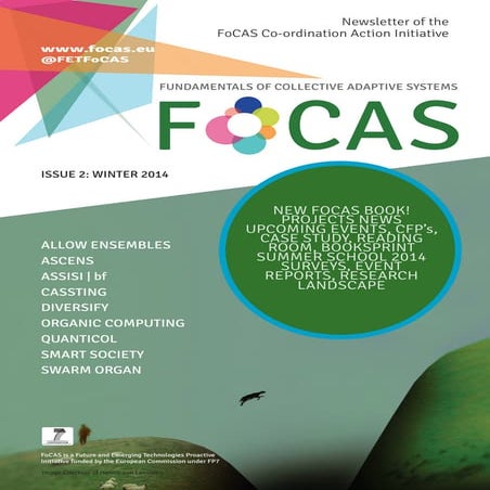 FoCAS Newsletter Issue Two: January 2014 | PDF