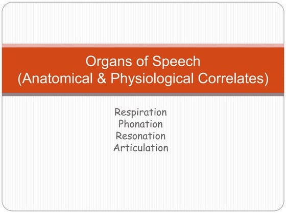 ORGANS OF SPEECH, production of speech sounds | PPTX | Ear, Nose and ...