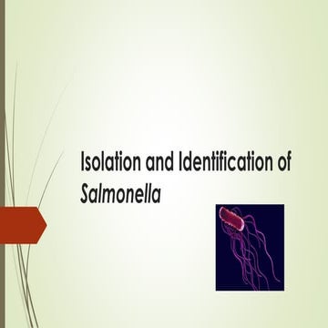 2- Salmonella.pdf identification and isolation | PDF