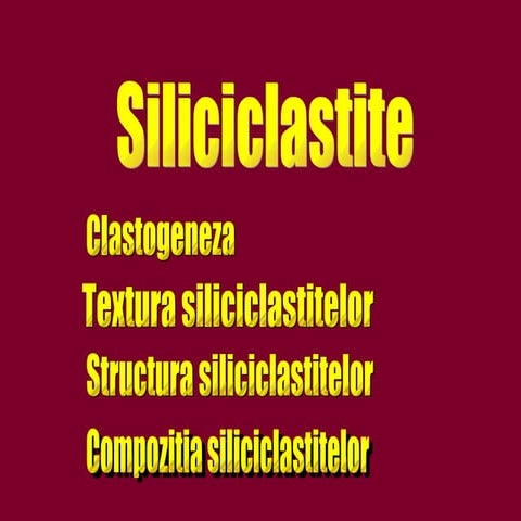 2 siliciclastite-introducere | PPT