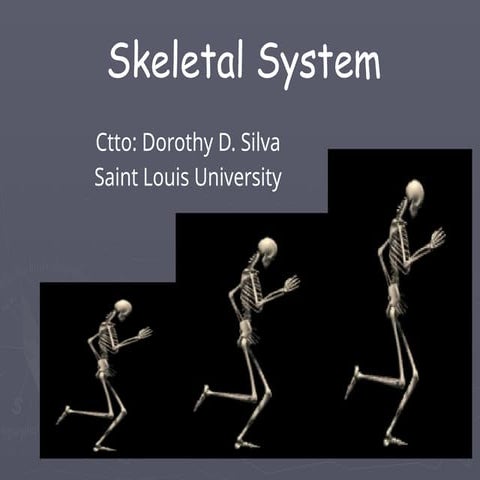 Skeletal system powerpoint | PPT