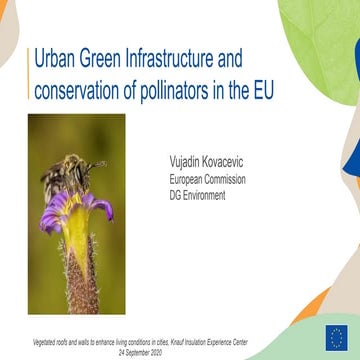 2 - Urban Green Infrastructure and conservation of pollinators in ...