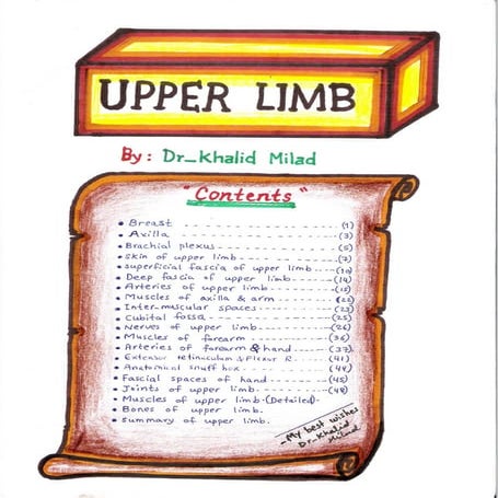 upper limb - Anatomy | PDF