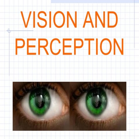 VISION AND PERCEPTION (English) | PPT
