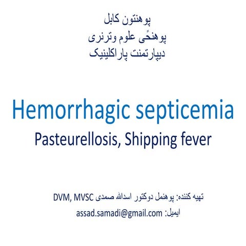 20. hemorrhagic septicemia | PDF